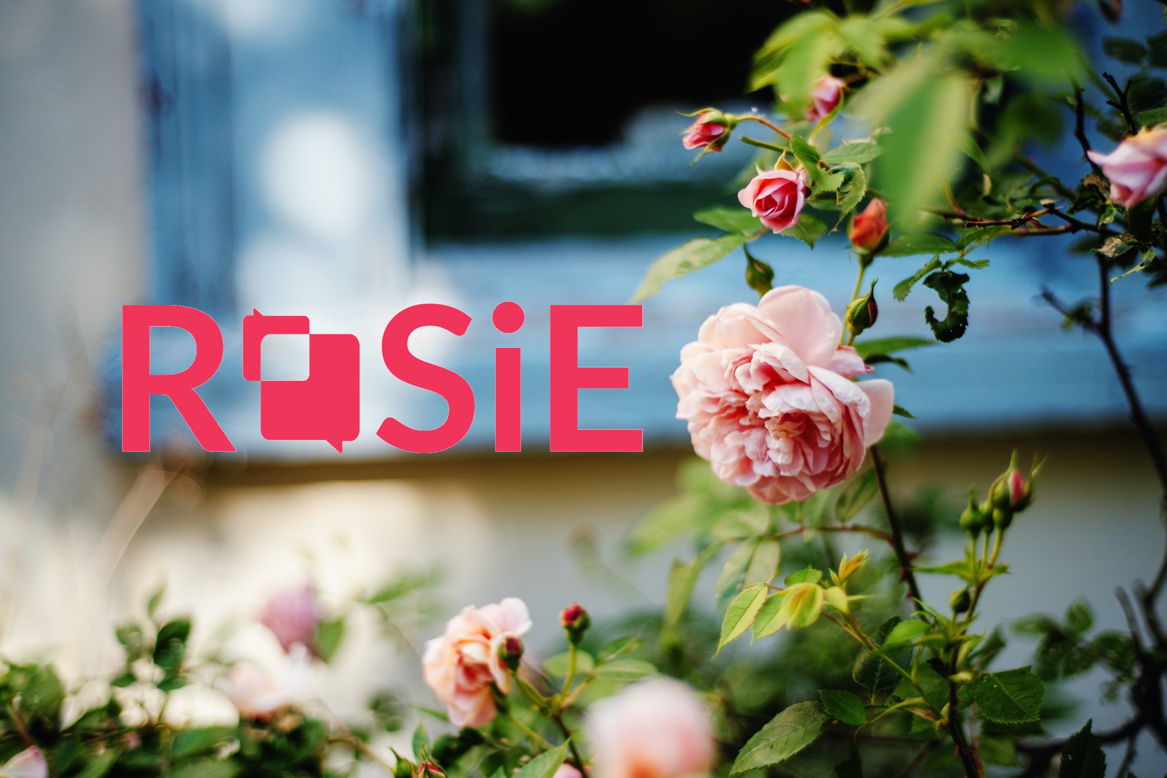 The ROSiE project develops practical tools to enhance responsible open ...